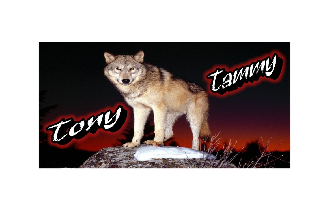 Personalized License Plate Native American Monogrammed Car - Etsy