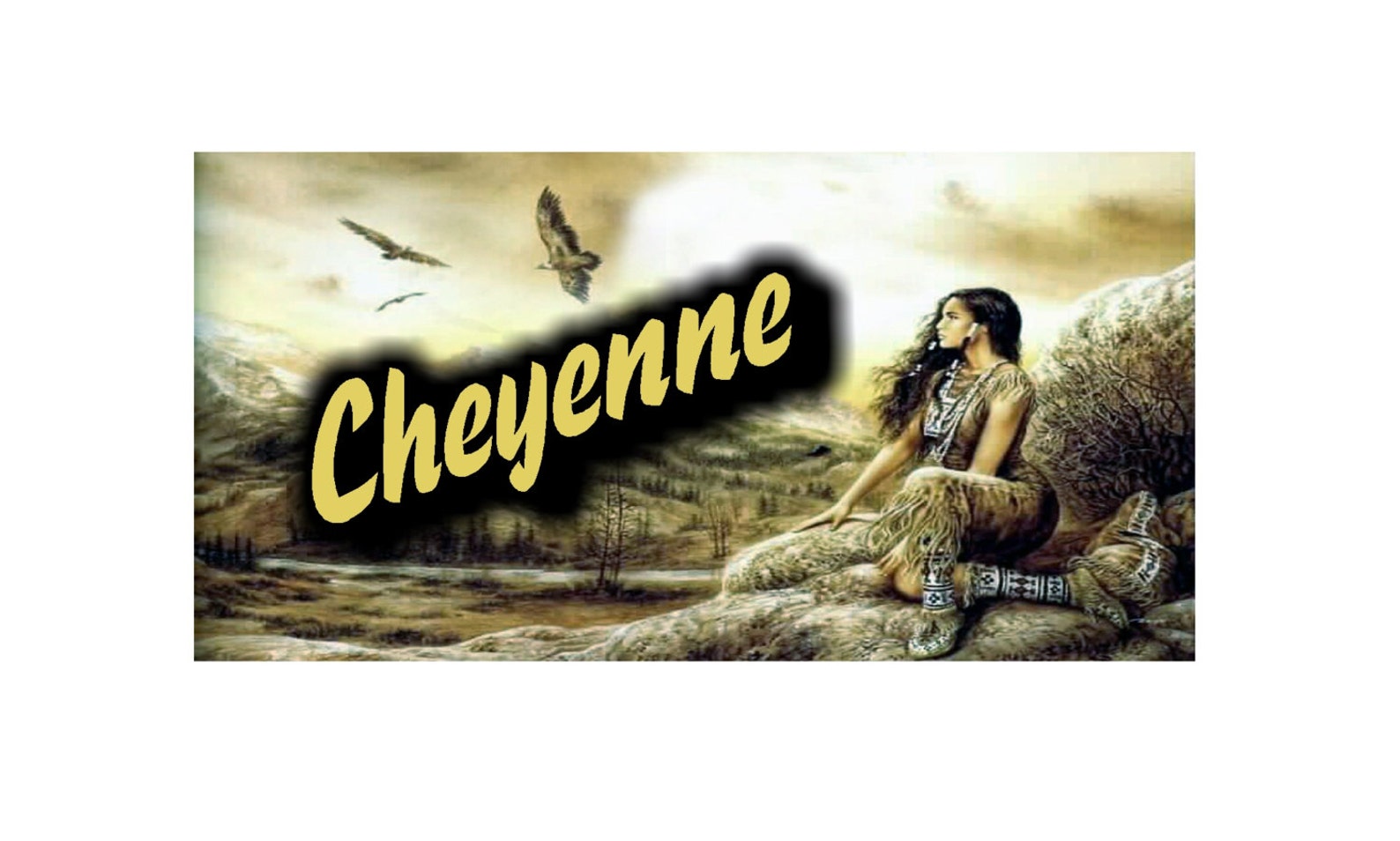 Personalized License Plate Native American Monogrammed Car | Etsy