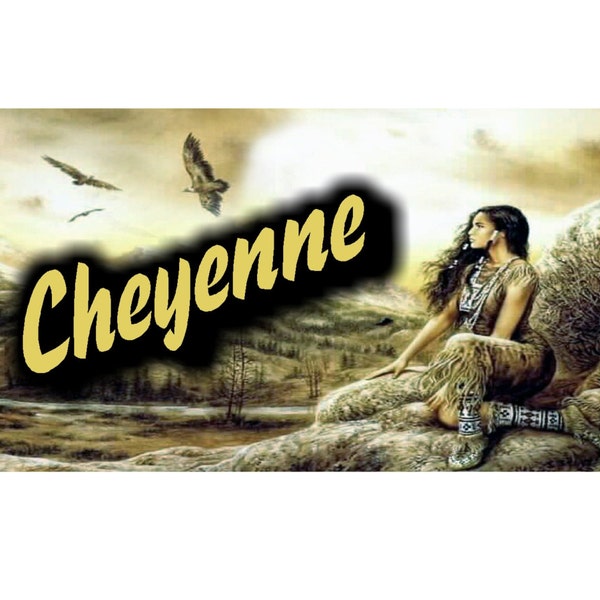 Native American Indian License Plates - Etsy