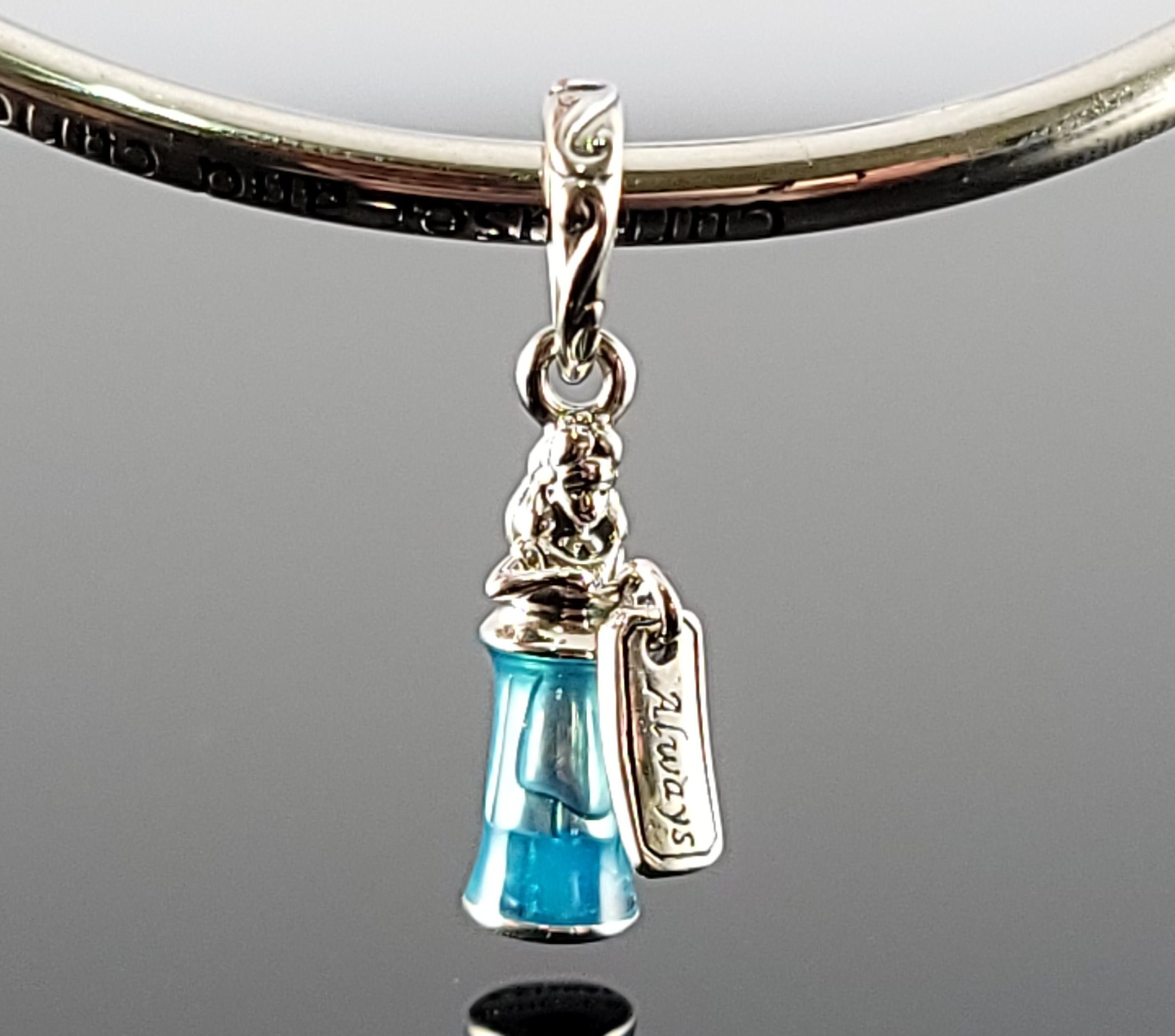 New Alice in Wonderland Potion Bottle Disney Pandora Silver Charm - Etsy
