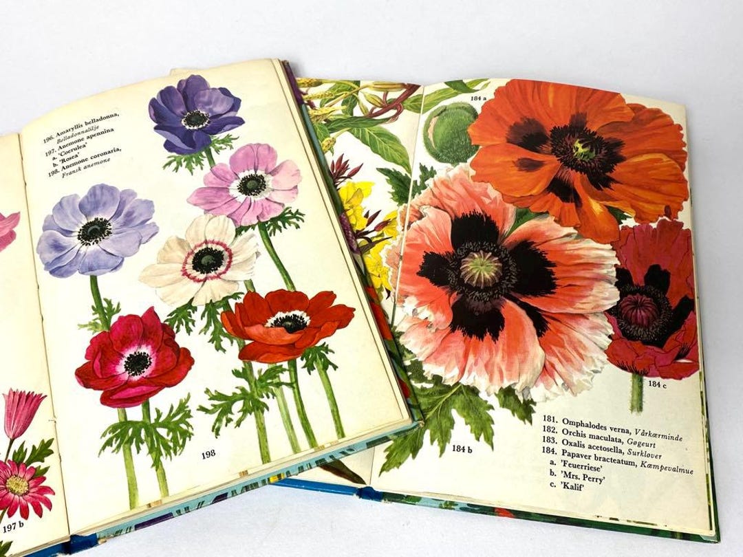 Vintage Botanical Illustration Books – 1970s Danish Flower Guides, Set ...