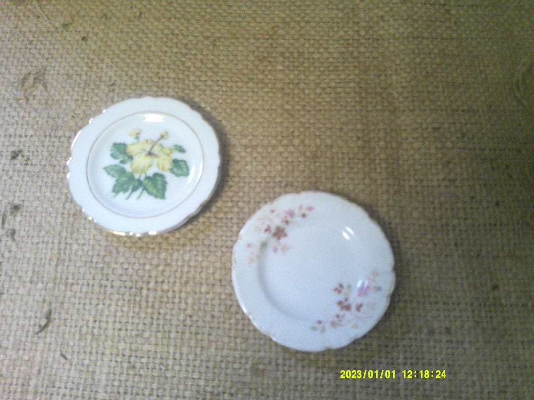 Two Vintage Butter Pats, 1 Marked Germany and 1 Japan. - Etsy