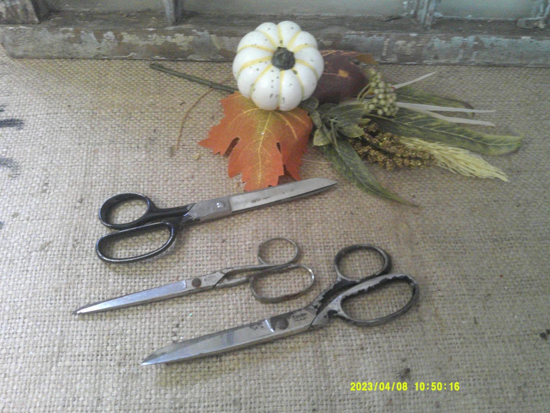 Collection of Vintage Scissors, 3 Pair of Scissors, Clauss, Kleencut ...