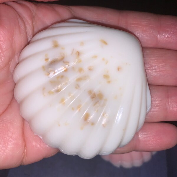 Sea Shell Soap - Etsy