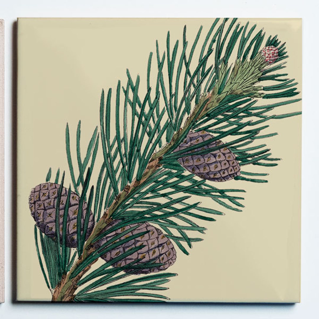 6"x6"conifer Sprig Trivet With Little Pine Cones 6x6 Ceramic Tile - Etsy