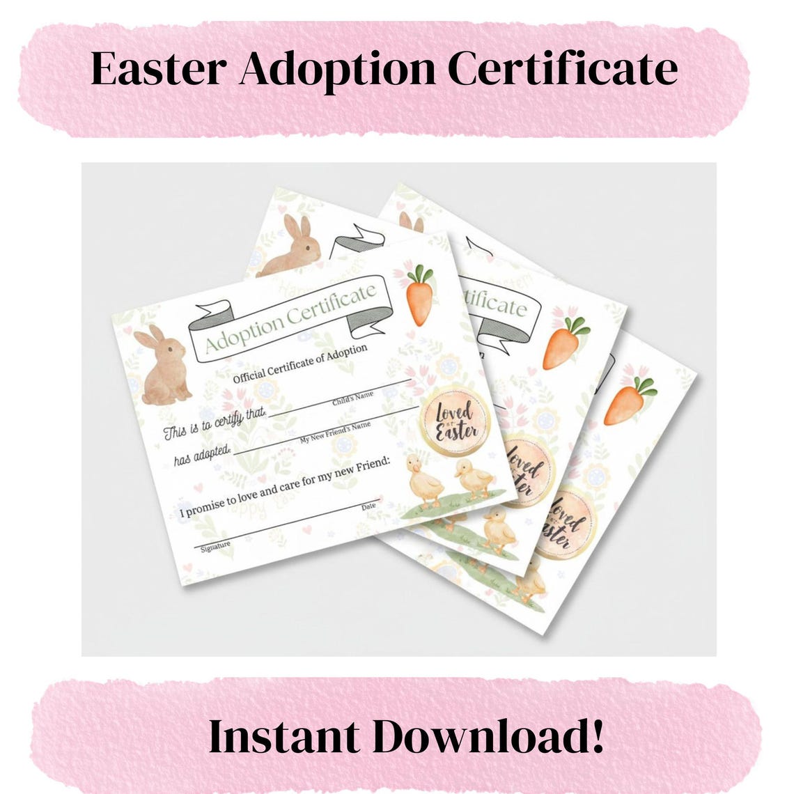 Easter Bunny Adoption Certificate Printable | Stuffed Animal Birth ...