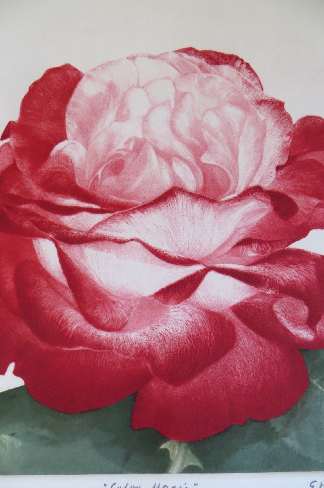 Vintage G.H. ROTHE "color MAGIC " , Rose, Original Mezzotint, Unframed ...