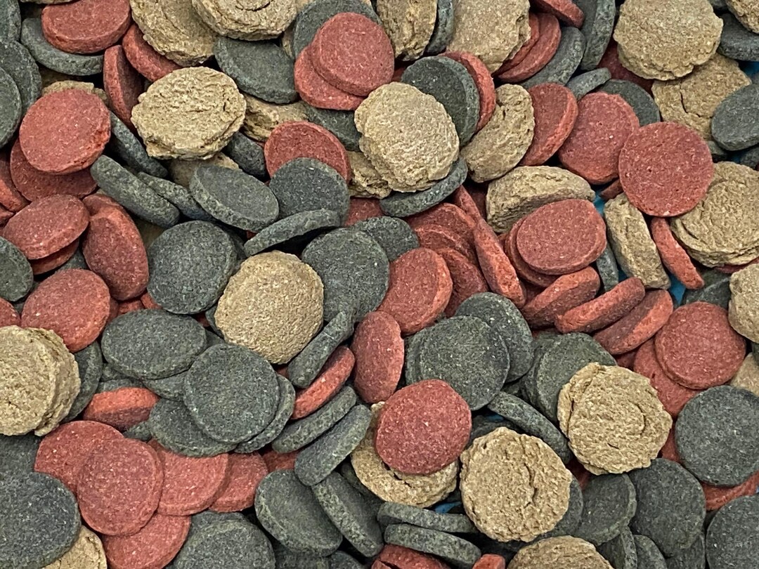 ADF Ultra Wafer Mix With Spirulina, Krill & Bug Wafers, Cory Cats ...