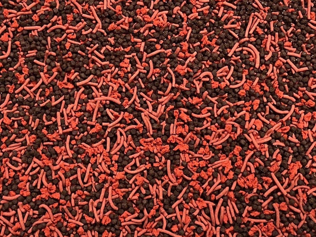 Tropical Fish Small Mix Blackworm & Color Worms Brine Shrimp Bits ...