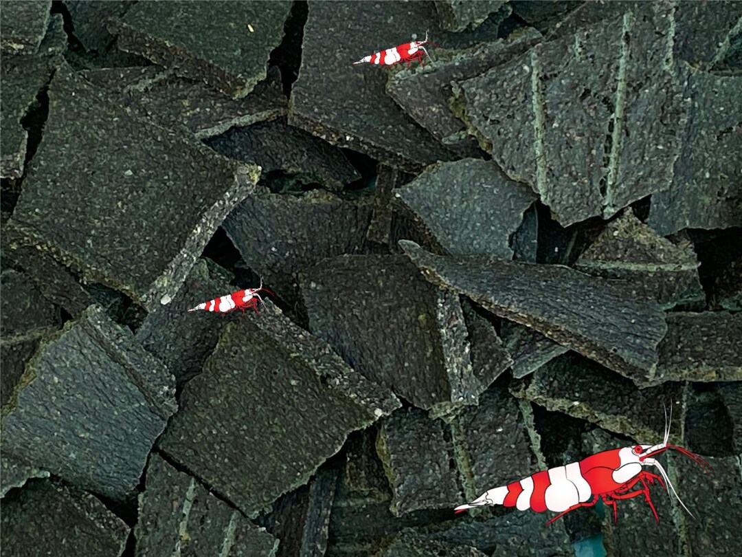 ADF Dehydrated Freshwater Shrimp & Snail Food Treat, Calcium, Spirulina ...