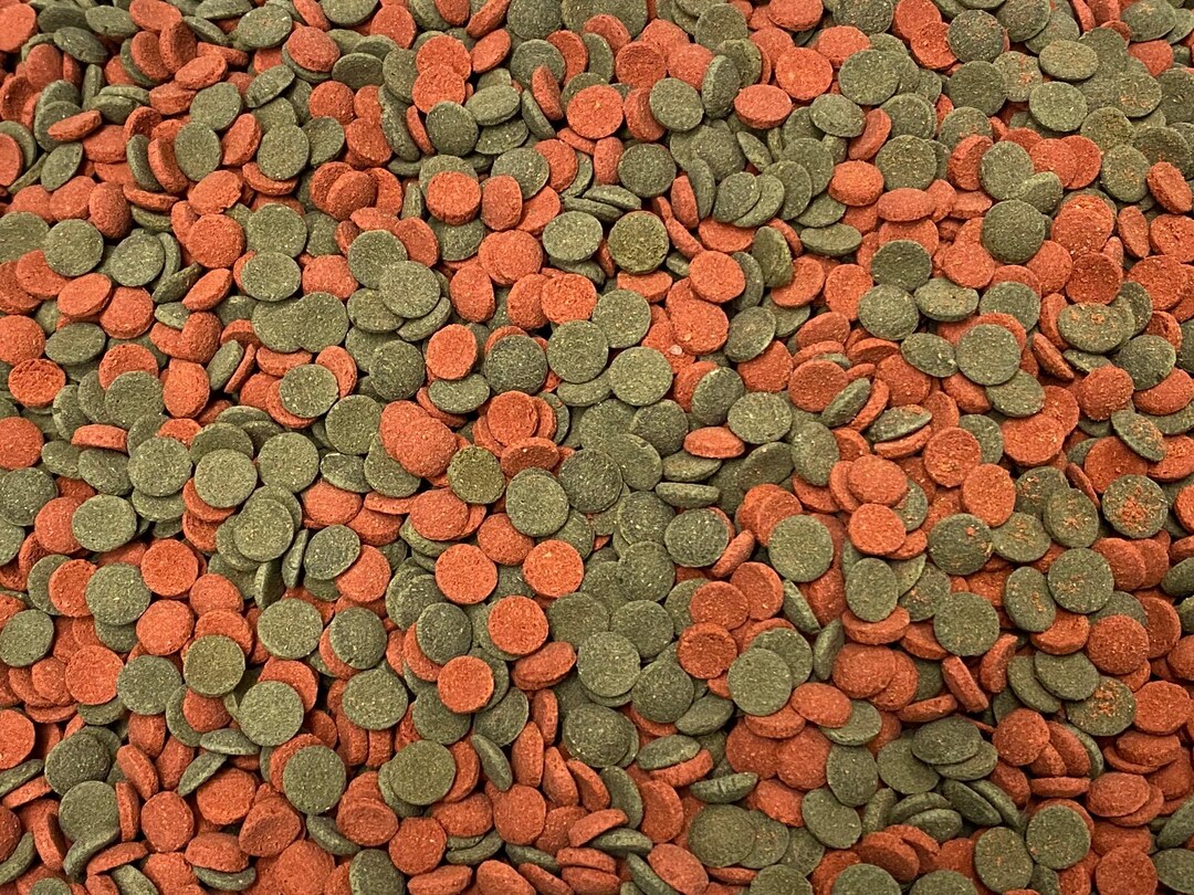 ADF Ultra Mini Wafer Mix With Spirulina & Bug Wafers, Cory Cats, Pleco ...