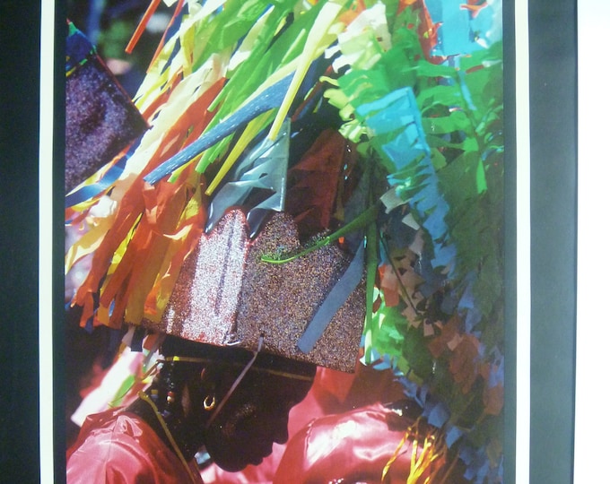 Vintage St. Thomas Carnival 1985 Poster, Don Brown Photographer, Color ...