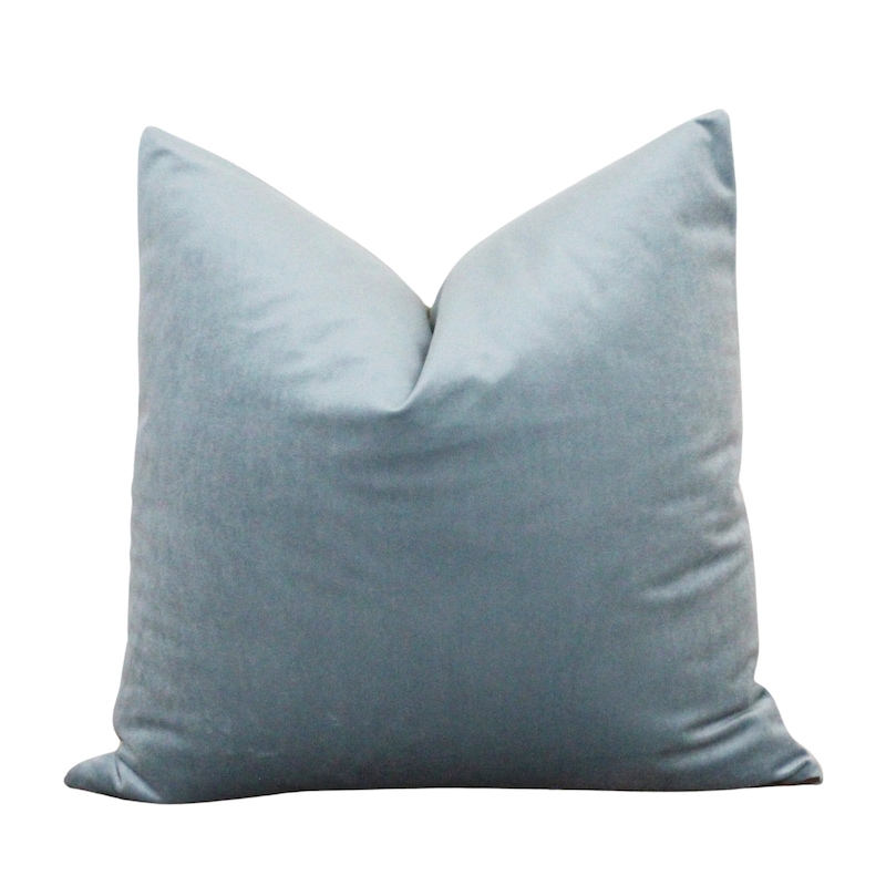 Throw Pillow With Robins - Etsy