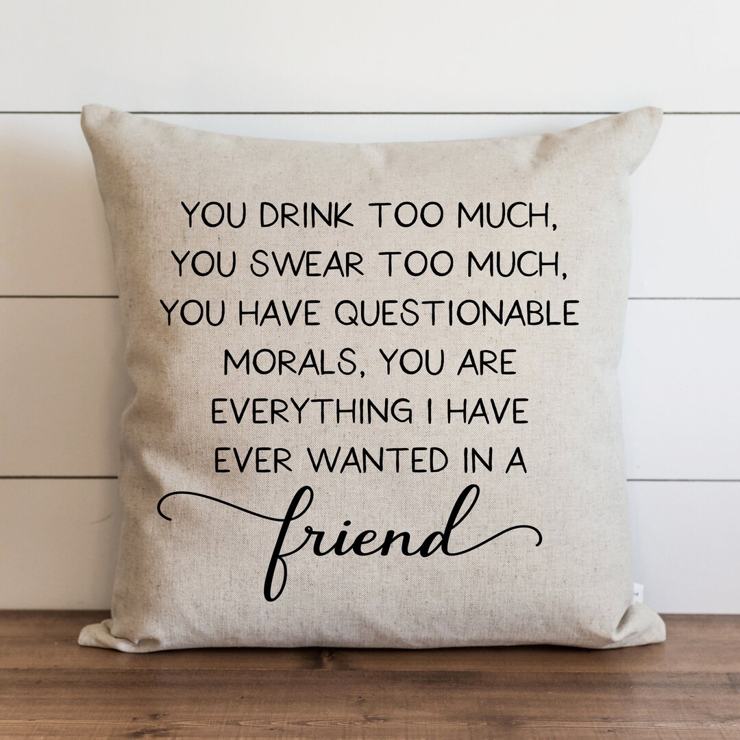 Questionable Friend // 18 X 18 // 20 X 20 // Pillow Cover // Everyday ...