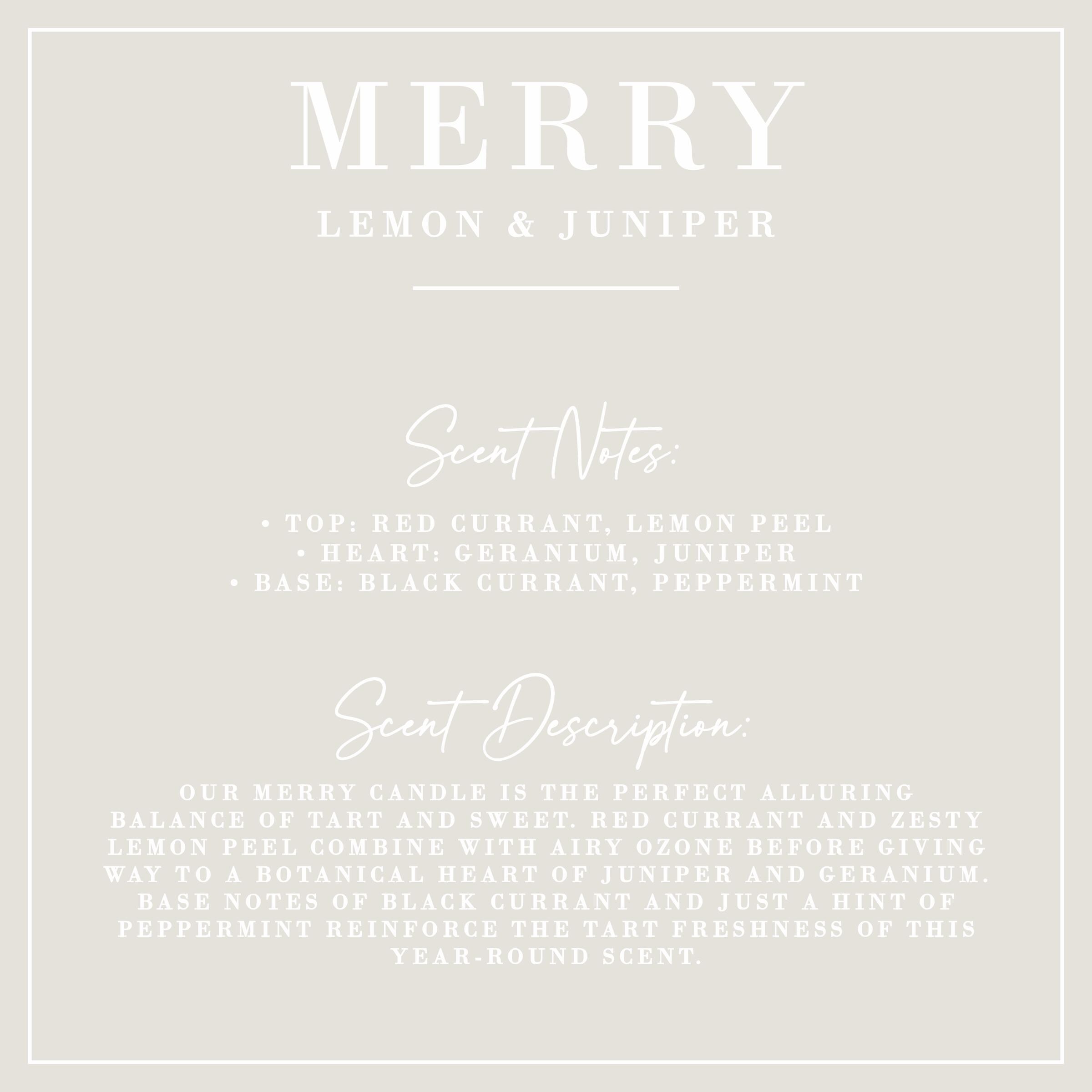 Lemon Juniper Coconut Wax Christmas Candle | Holiday Scented Tart Sweet ...