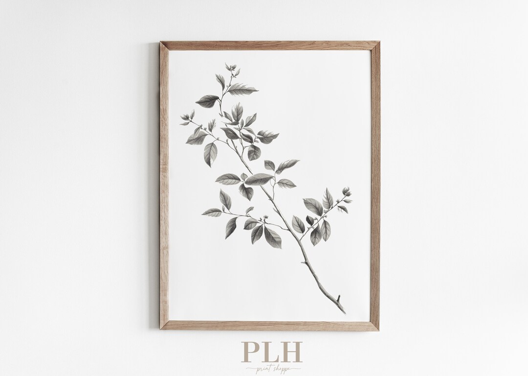 Branch Art Print | Wall Art | Fine Art Sketch | Simple Wall Art ...