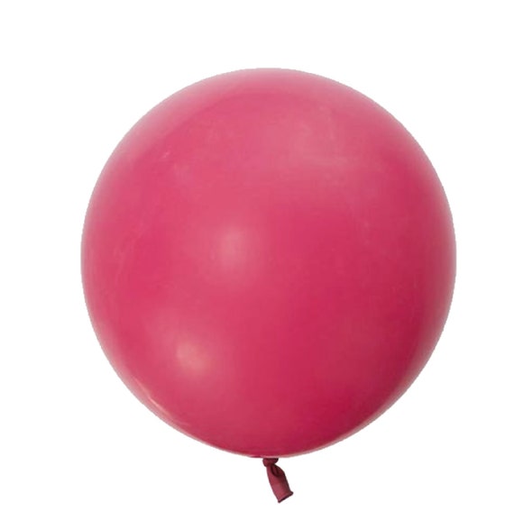 Wild Berry Latex Balloons by Party Love | Catch My Party