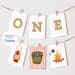 Editable Camping Signs, Glamping, Smores, Food Drink Camping Party ...