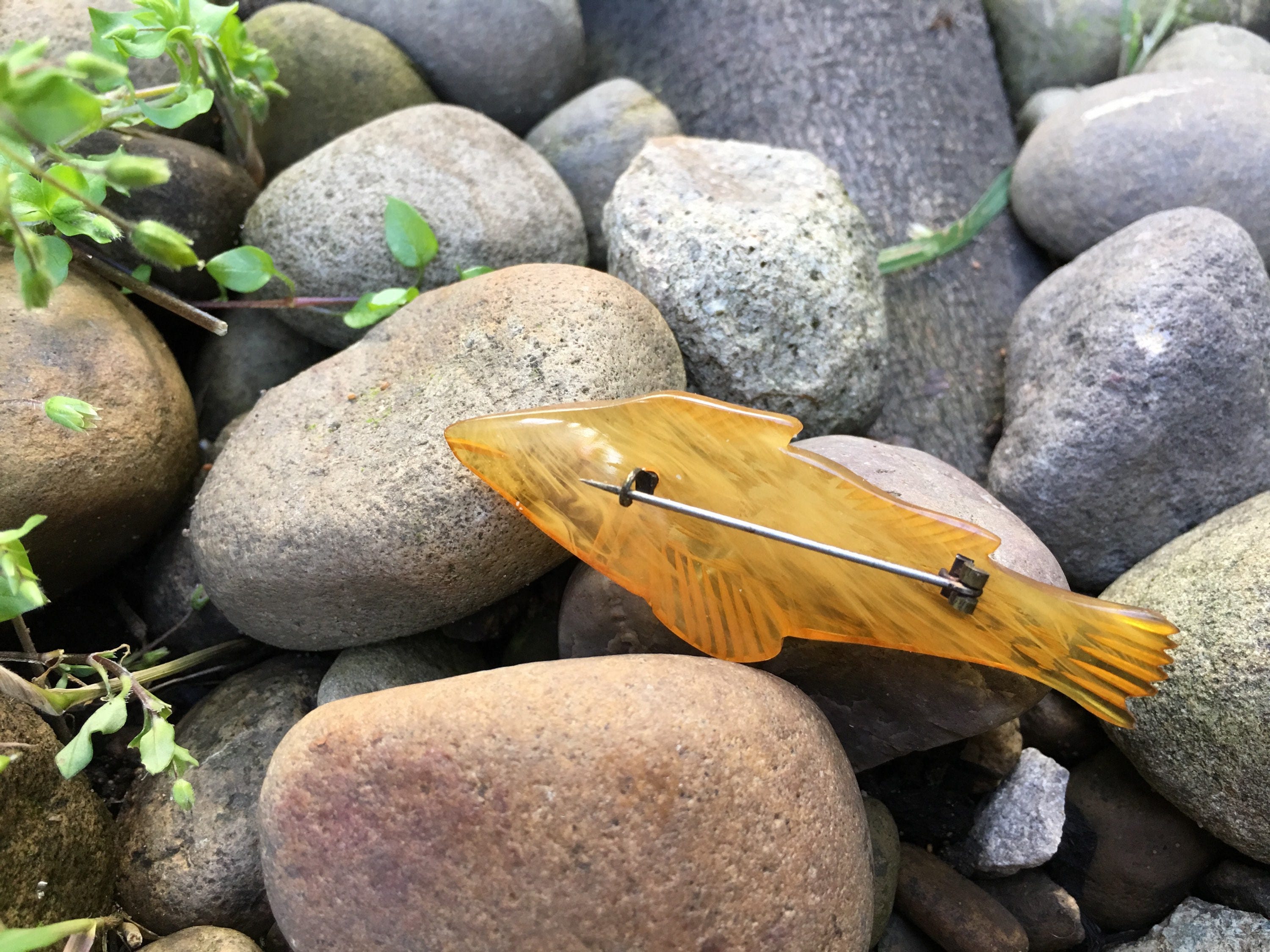 Bakelite Brooch Fish Motif Carved Apple Juice 1920's-1930's Unused - Etsy