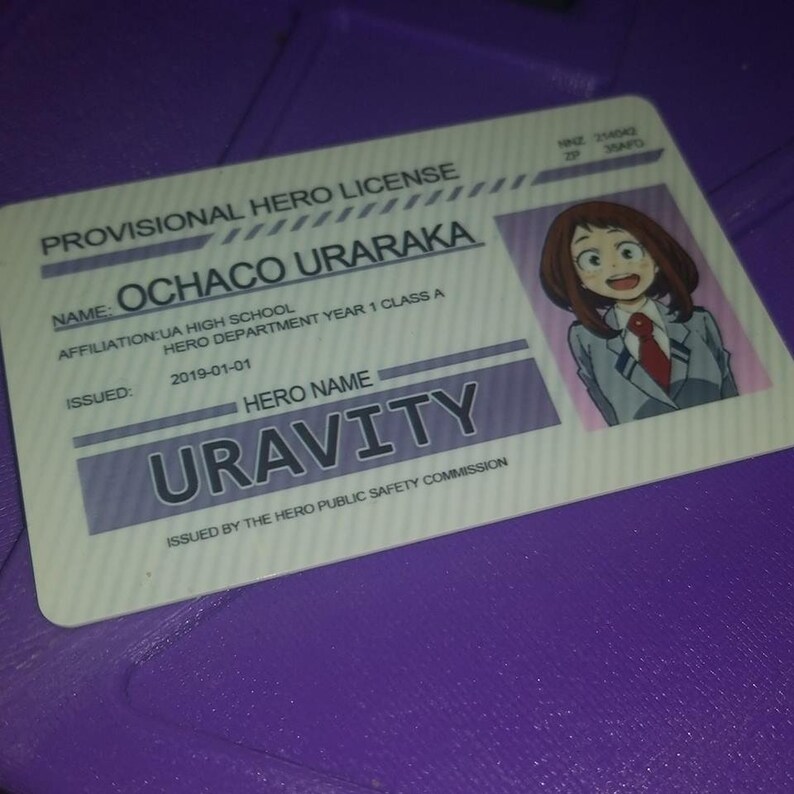 MHA Provisional hero license My hero academia | Etsy