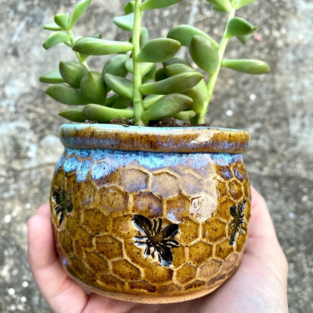 Honeycomb Bee Succulent Planter: Handmade Pottery, Mustard & Seafoam - Etsy