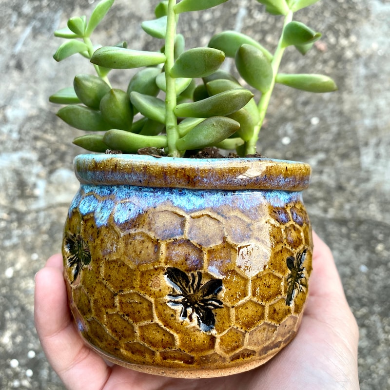 Planter - Etsy