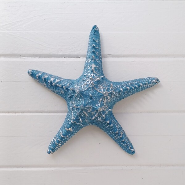 Starfish Decor - Etsy