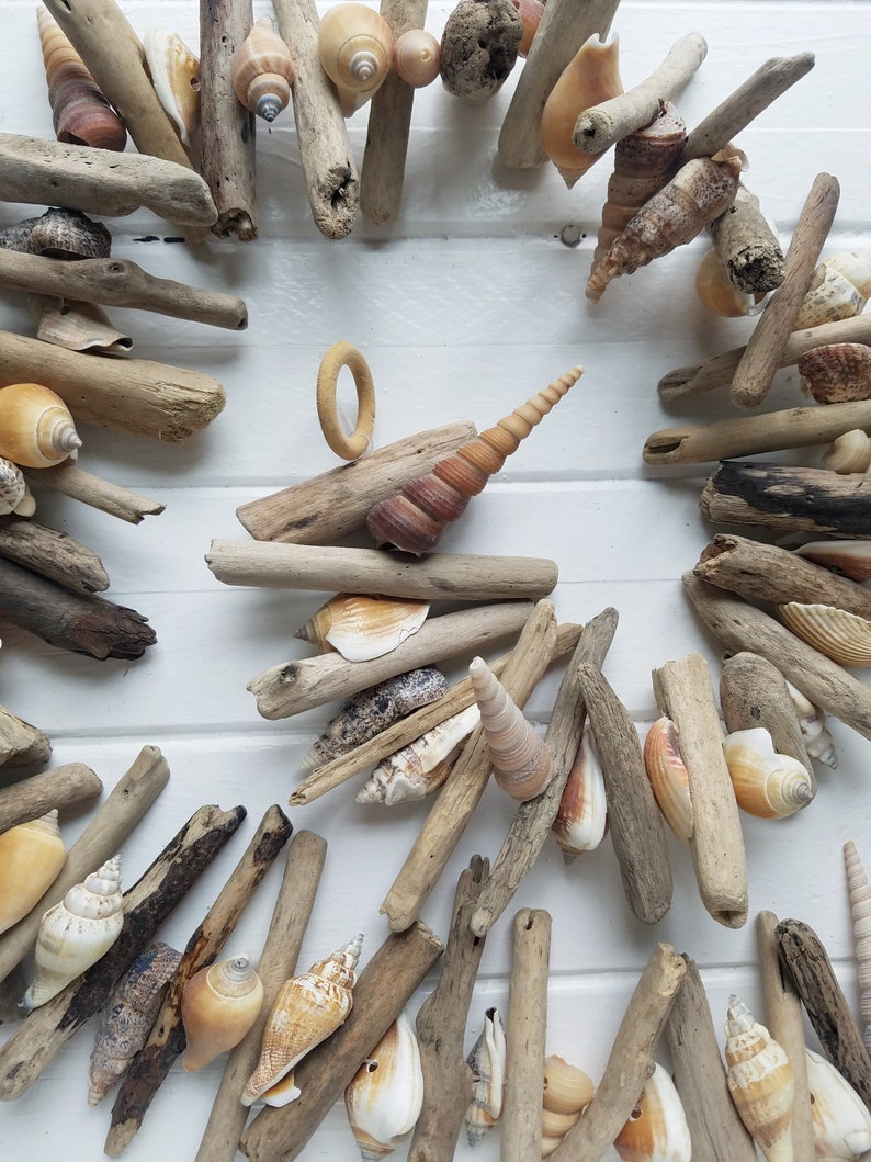 Driftwood and Seashell Garland Beach Garland Driftwood - Etsy