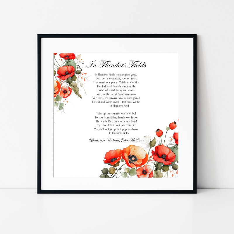 Flanders Poppy - Etsy