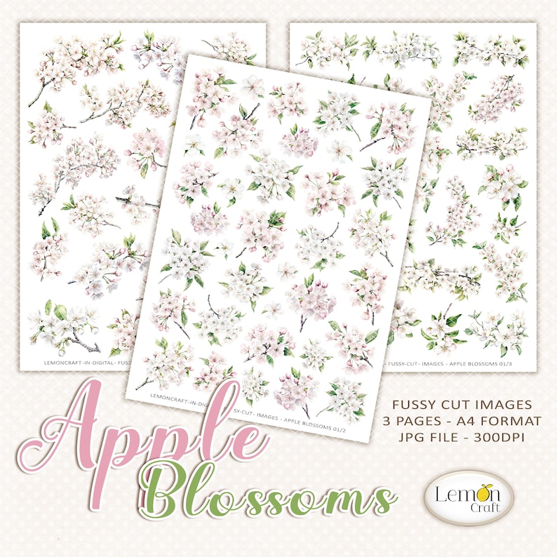 Lemoncraft APPLE BLOSSOMS - Floral Fussy-cut Images - Apple Blossoms ...