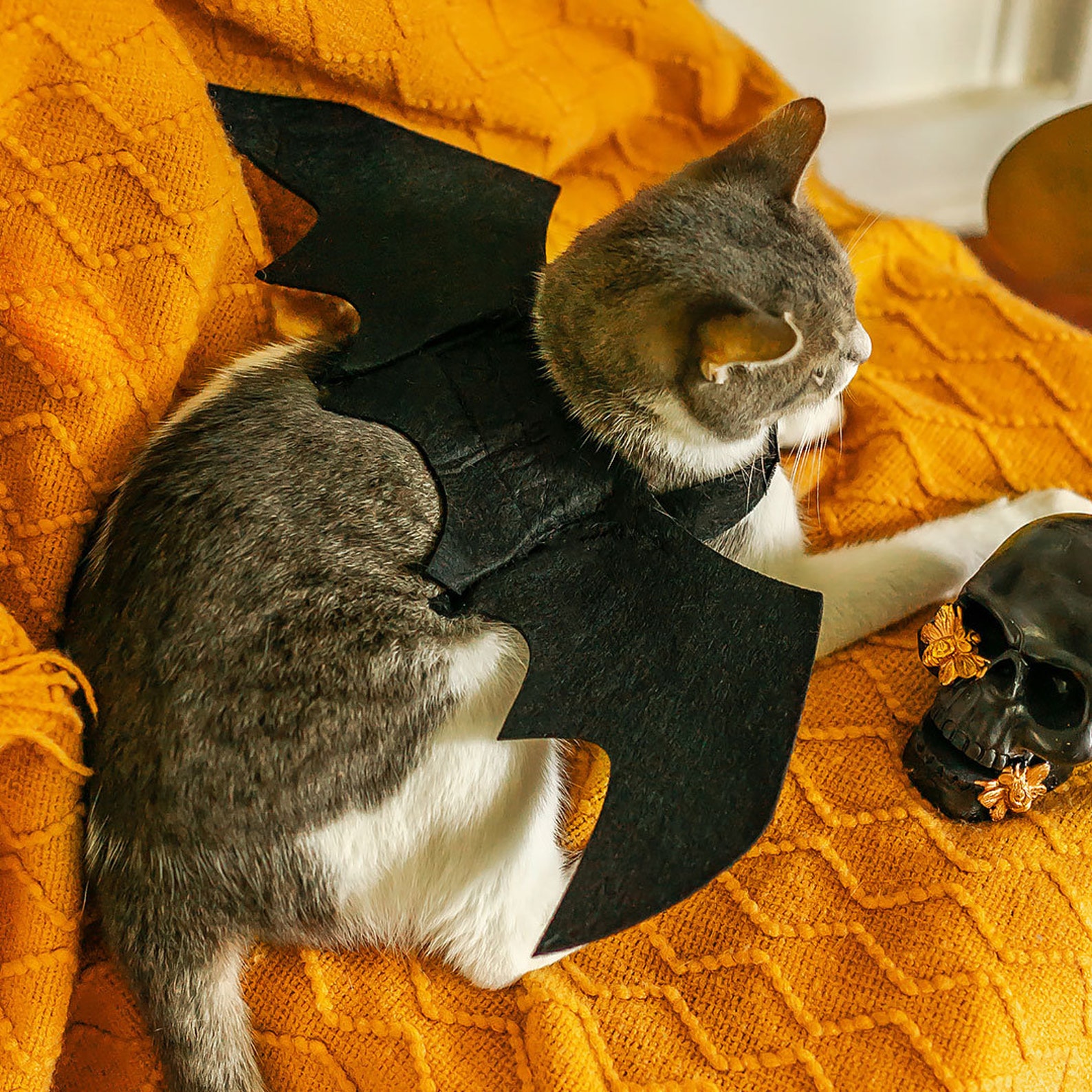 Bat Wing Costume for Cat / Halloween Photo Prop for Pet / - Etsy