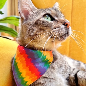 Cat Collar - "celebration" - Ombre Rainbow Cat Collar / Breakaway or ...