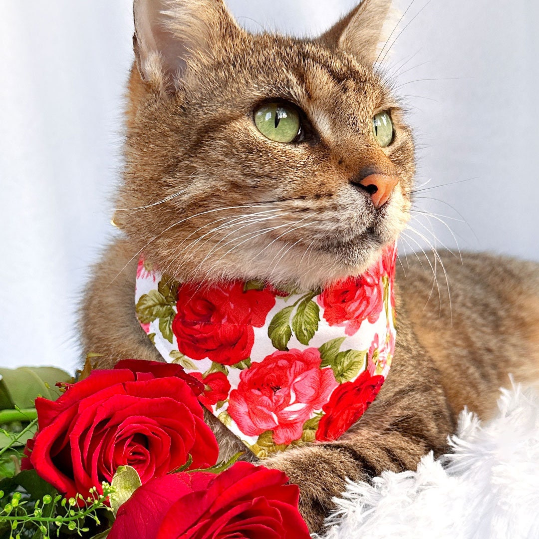 Cat Bandana - "roses" - Red Rose Bandana for Cat + Small Dog ...