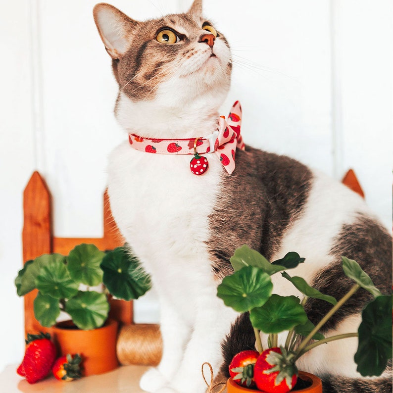 Cat Bell SPECIALTY Pet Collar Bells / Cat Collar Bell / - Etsy