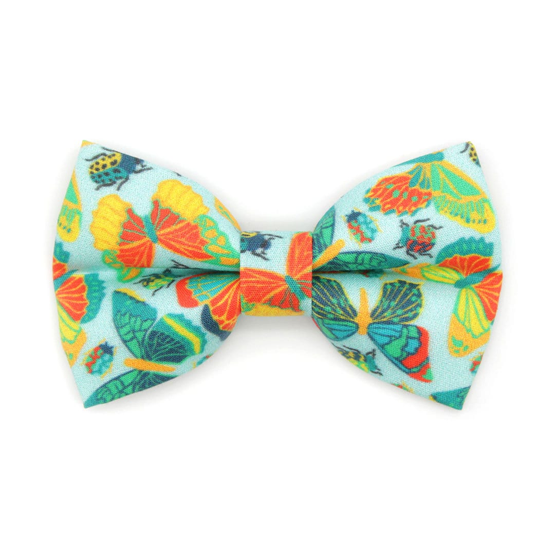 Cat Bow Tie - "bugs & Butterflies" - Sky Blue Insects + Butterfly Bow ...