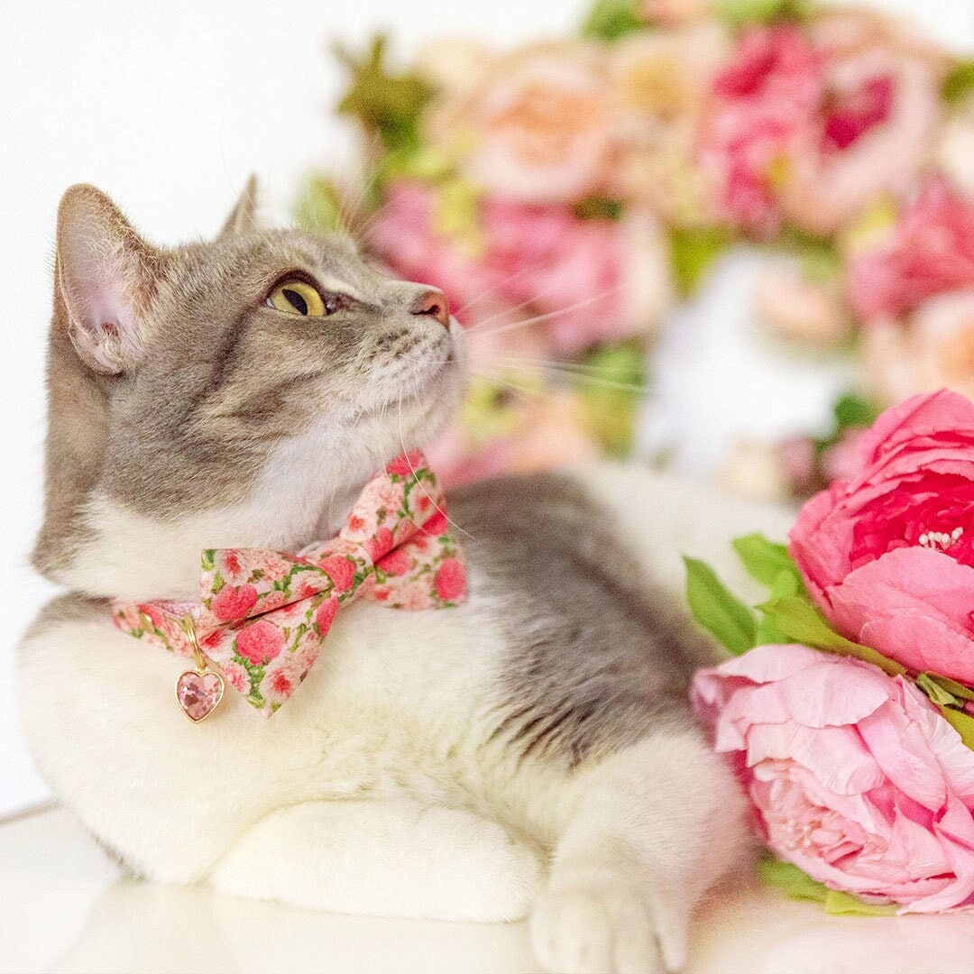 Bow Tie Cat Collar Set - "pretty in Peony - Pink" - Peonies Cat Collar ...