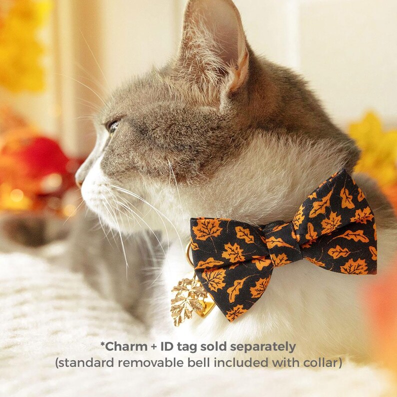 Fall Cat Collar - "autumn Night" - Maple Leaf Orange Black Cat Collar ...