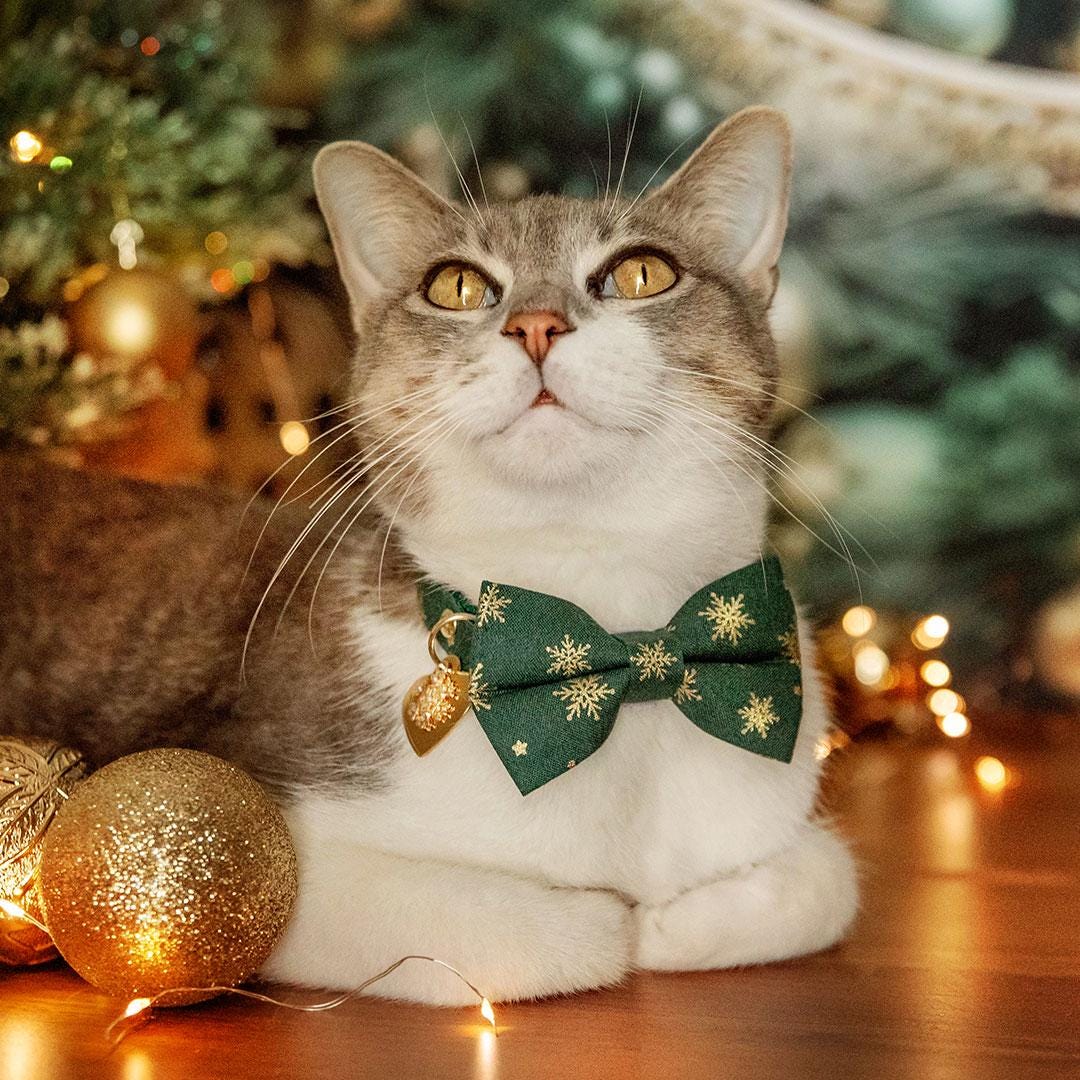 Holiday Bow Tie Cat Collar Set - 