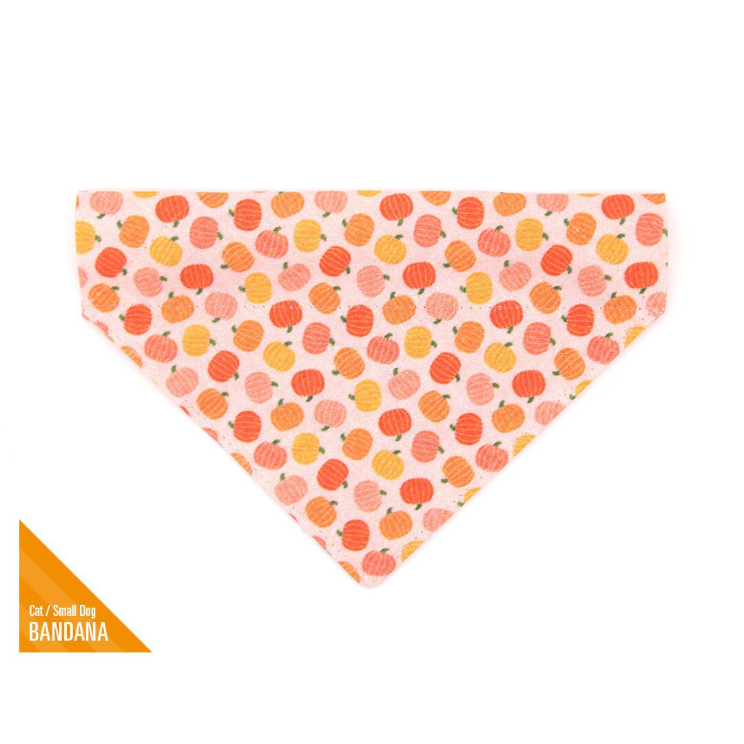 Fall Cat Bandana peachy Pumpkins Peach & - Etsy Hong Kong