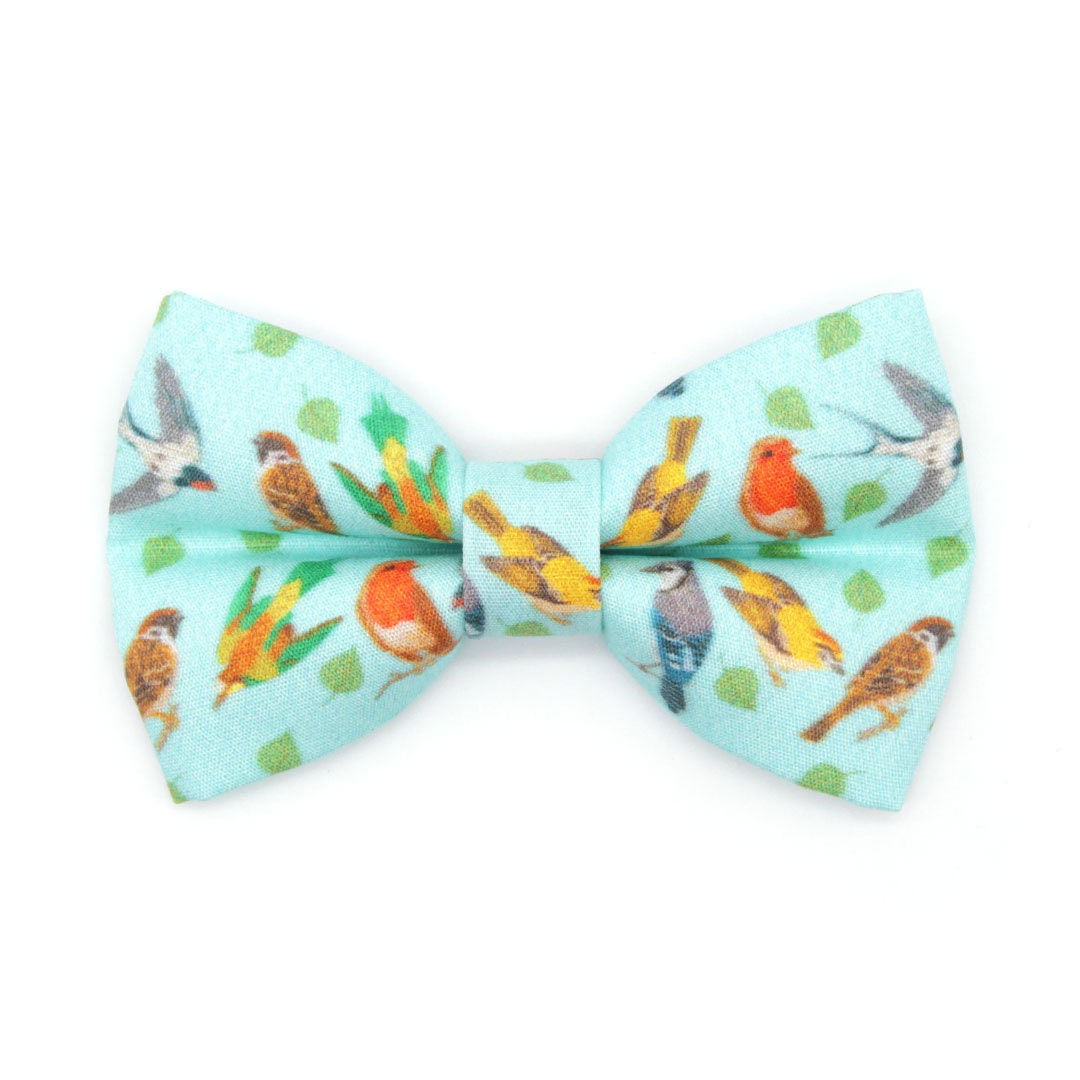 Cat Bow Tie - "birds of a Feather" - Robin's Egg Blue Bird Bow for Cat ...