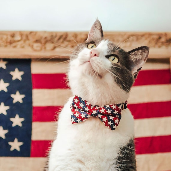 Bow Tie Cat Collar Set americana 4th of July Cat Collar W Matching Bowtie Independence Day USA Flag Cat kitten small Dog Etsy