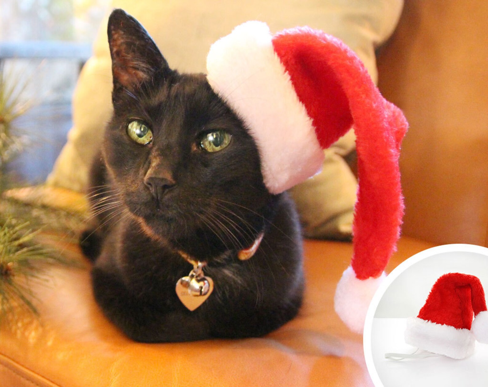 Cat Santa Hat Christmas Pet Santa Hat Holiday Photo Prop | Etsy