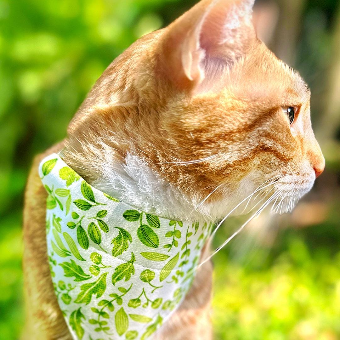 Nature Cat Bandana - "herb Garden" - Leafy Green Botanical Bandana for ...