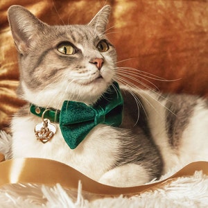 Engraved Cat ID Tag / Cat Tag Pet ID / Cat Collar Id Tag / Personalized ...