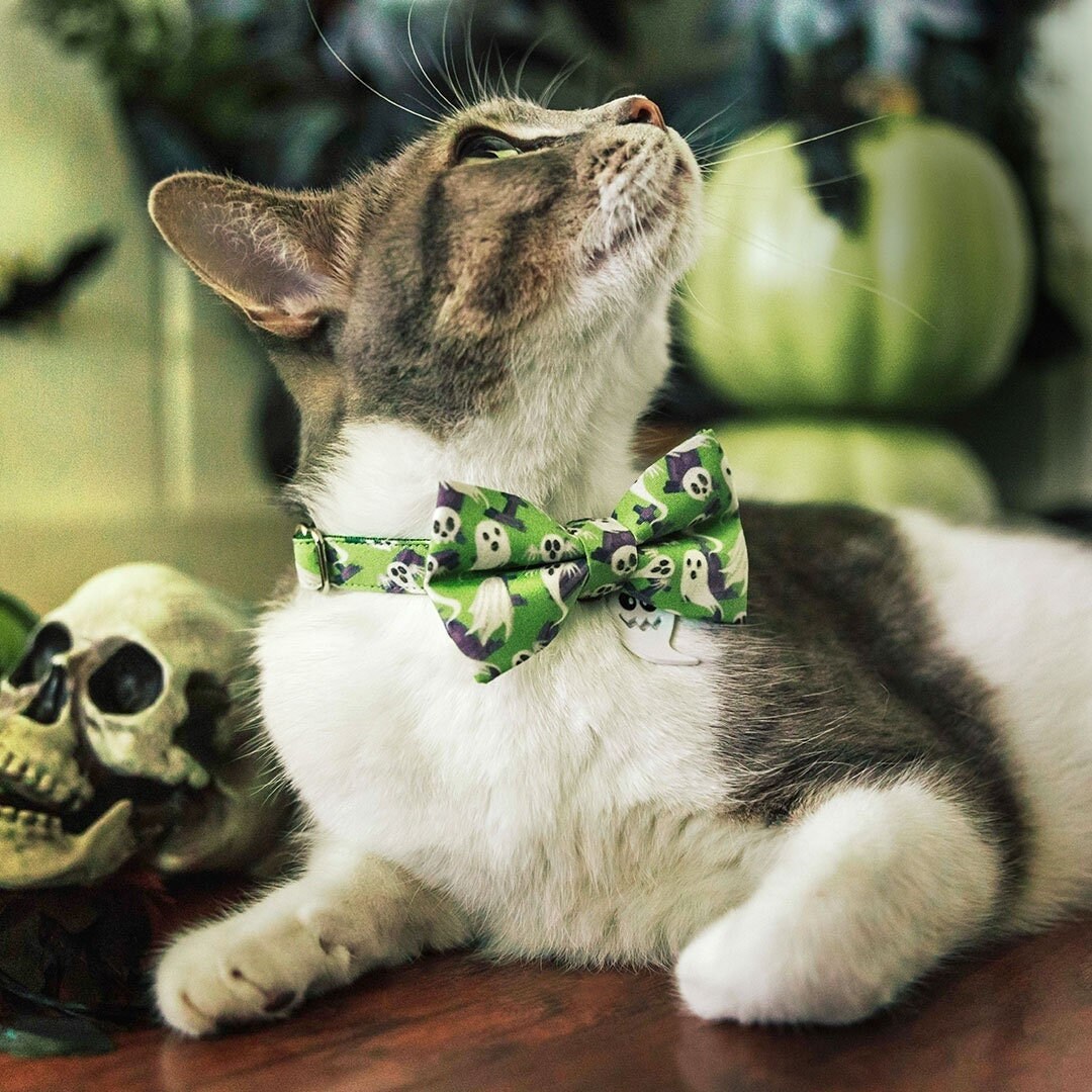 Bow Tie Cat Collar Set - "ghostly Gathering" - Halloween Ghost Cat ...