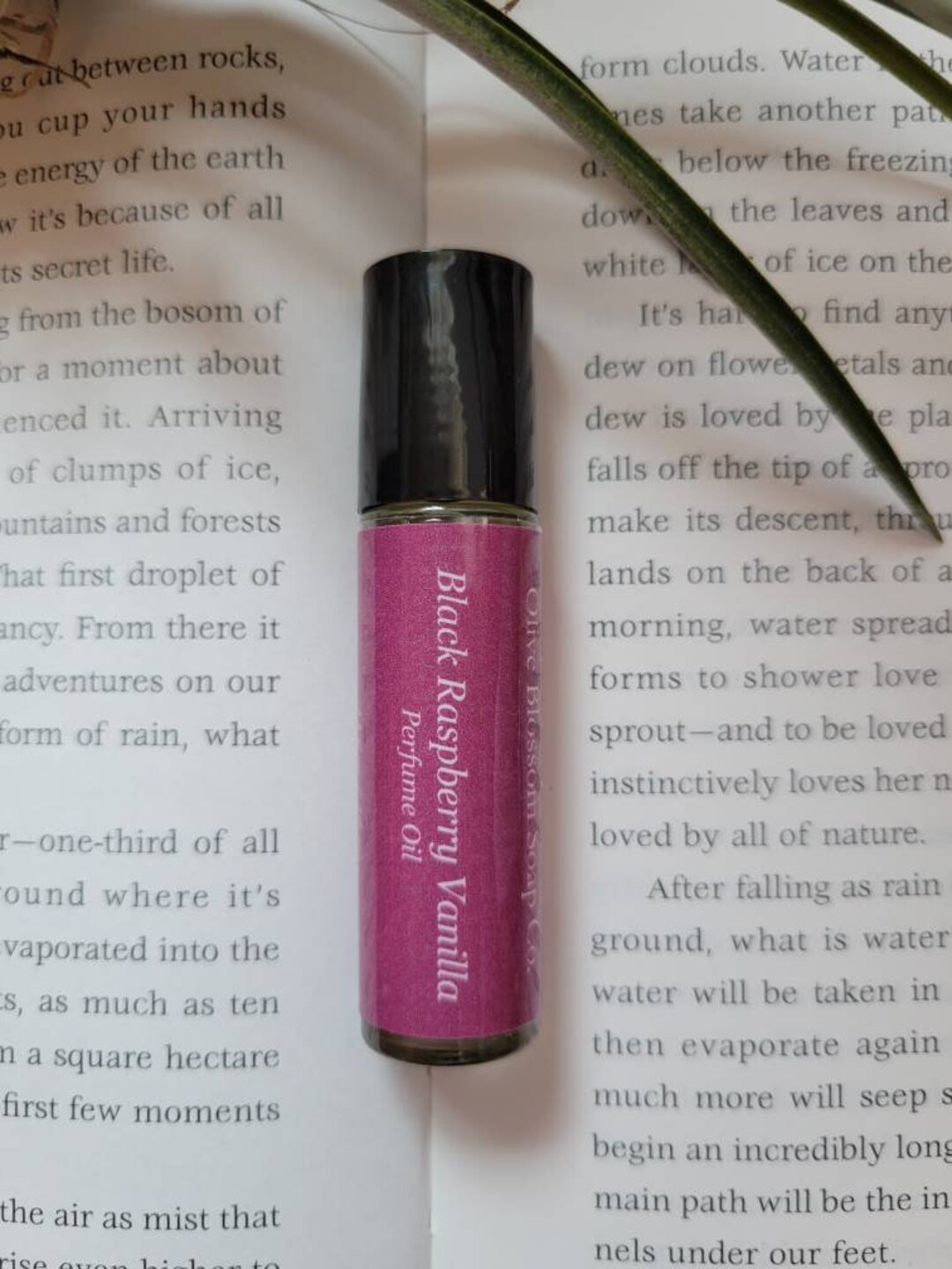 Black Raspberry Vanilla Perfume Oil | Roll on Perfume | Women's ...