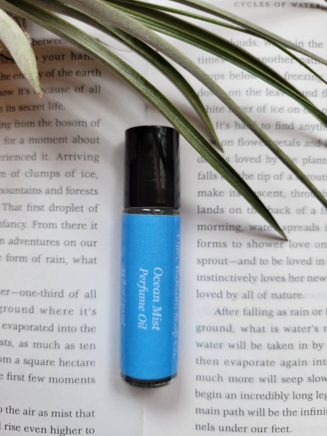 Ocean Mist Perfume Oil | Roll on Perfume | Handmade Perfume | Women's ...