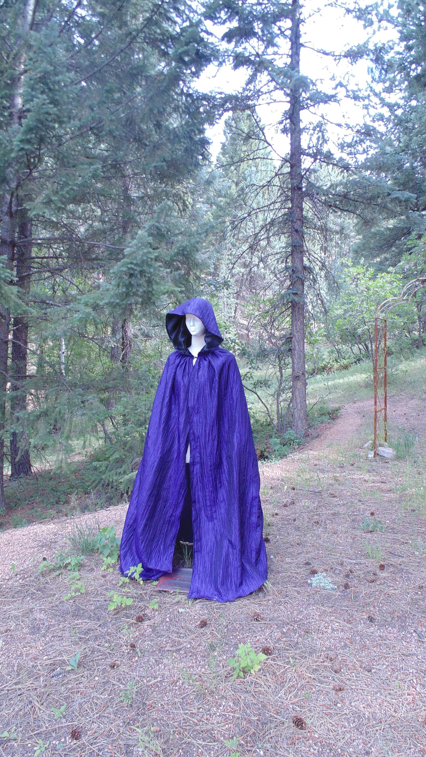 Purple Hooded Cape Goth Halloween Vampire Costume Cape | Etsy