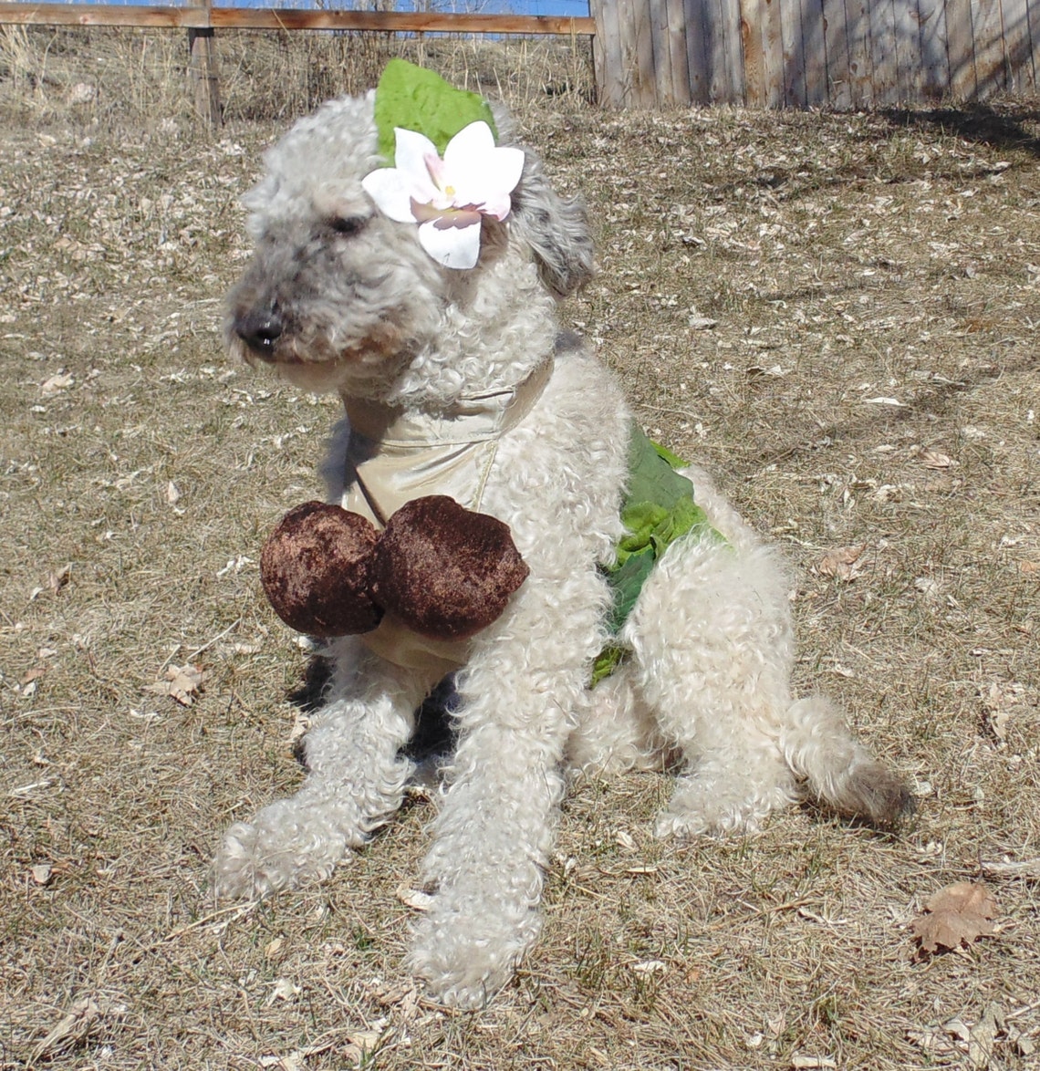 Polynesian Hula Girl Dog Costume With Flower Clip Medium Dog - Etsy
