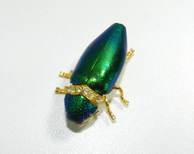 Vintage Genuine Scarab Gold Plated Beetle Pin Brooch - Etsy